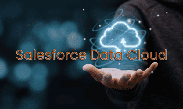 10 Strategies to Implement Salesforce Data Cloud! - Cloud Intellect