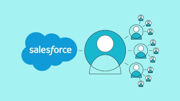 Top 6 Different Types of Relationships in Salesforce! - Cloud Intellect